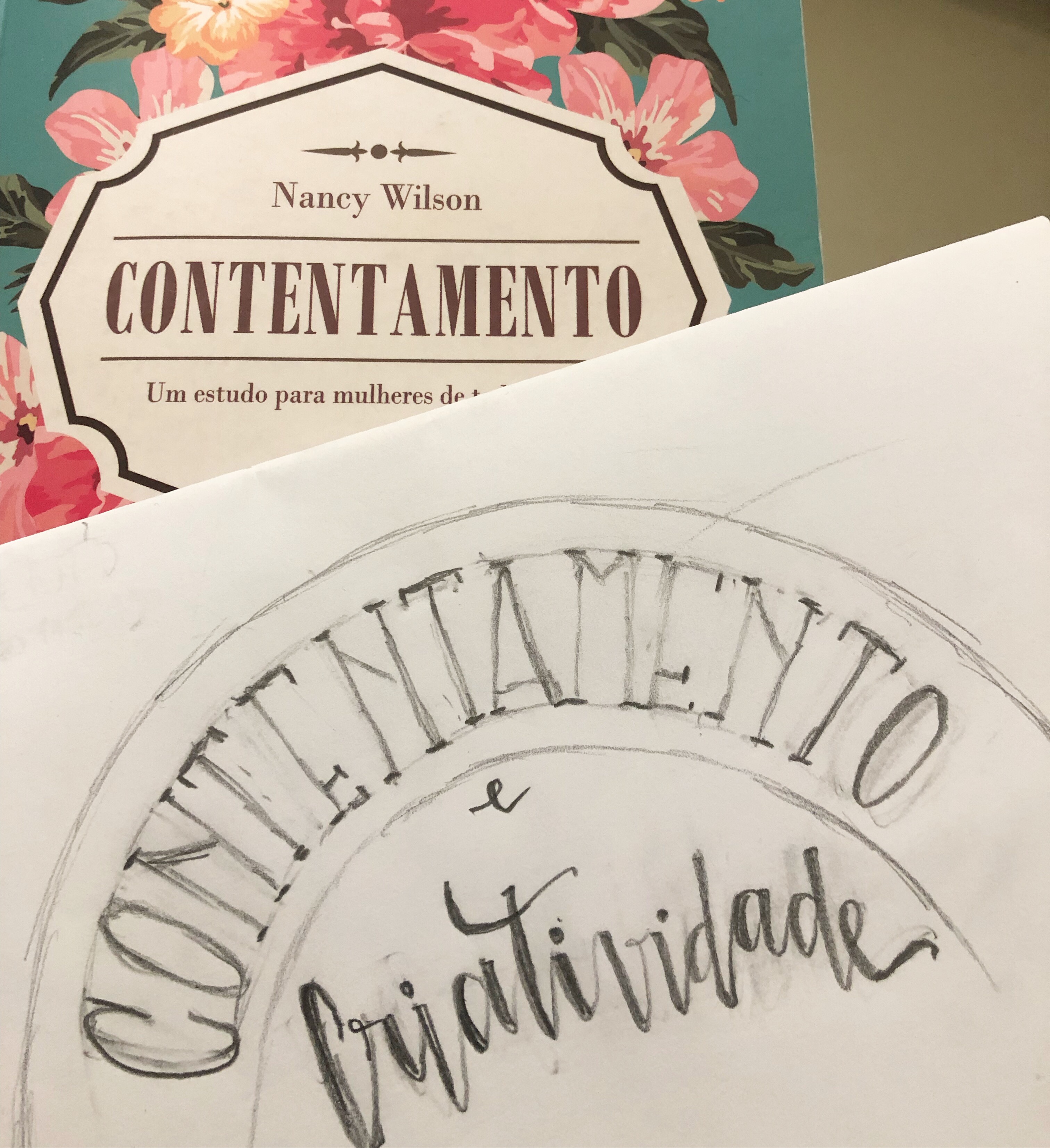 O Contentamento e a Criatividade | Leilane Borges